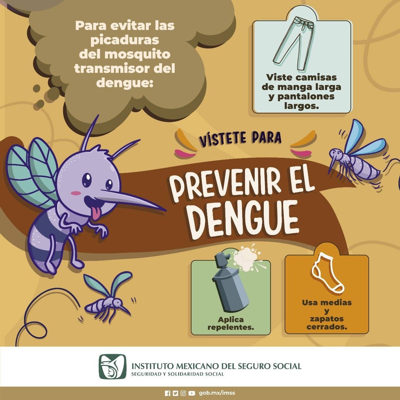 Invita IMSS Hidalgo a prevenir transmisión del virus de dengue – News ...