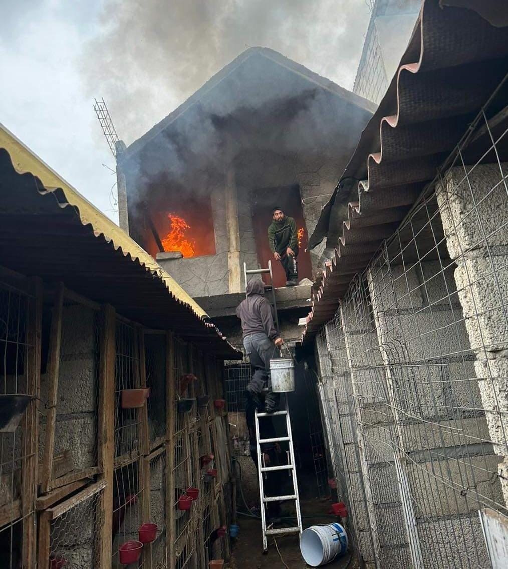 Se quema casa y gallera en Azoyatla – News Hidalgo