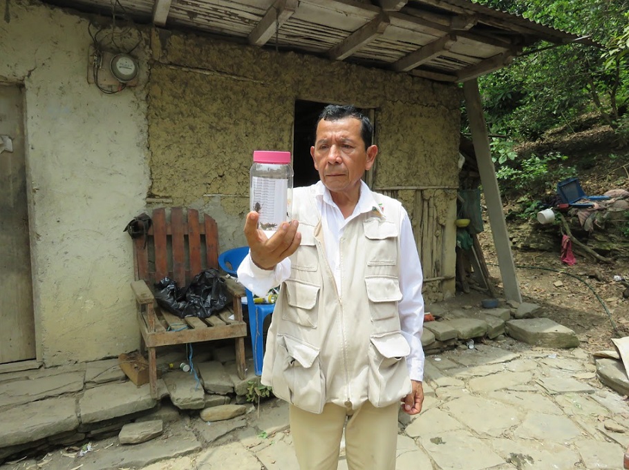 Dìa Mundial de la enfermedad de Changas – News Hidalgo